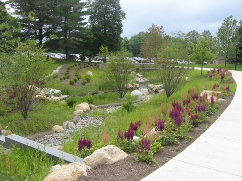 Bioretention for Post-Construction Stormwater Management - Landtech
